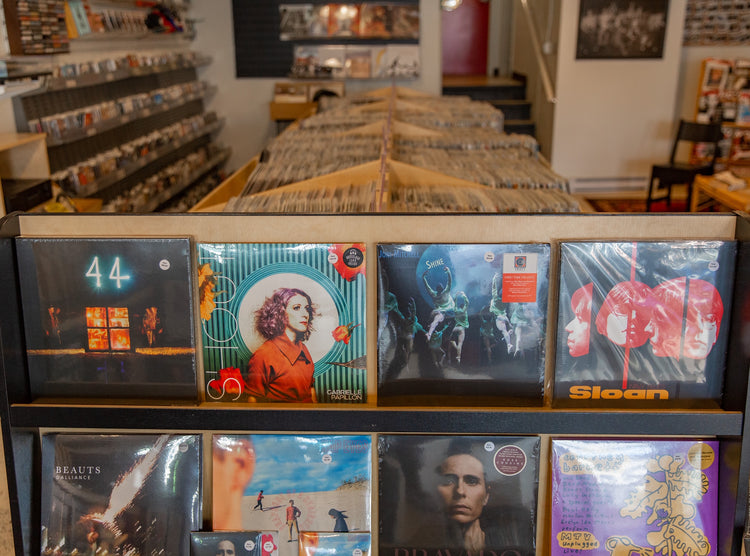 TAZ DARTMOUTH – Taz Records